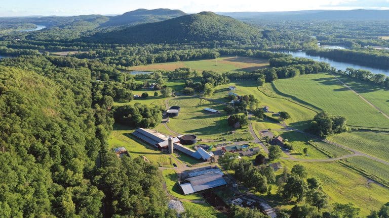 Barstow’s Farm in Hadley Takes the Long View - BusinessWest