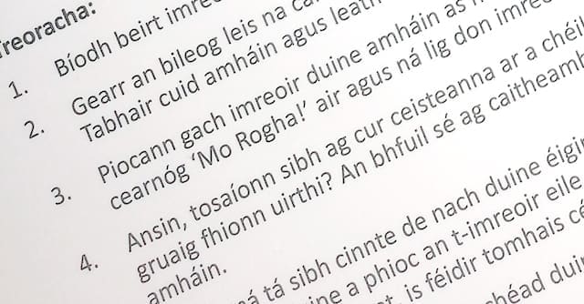 Irish Language Day - BusinessWest